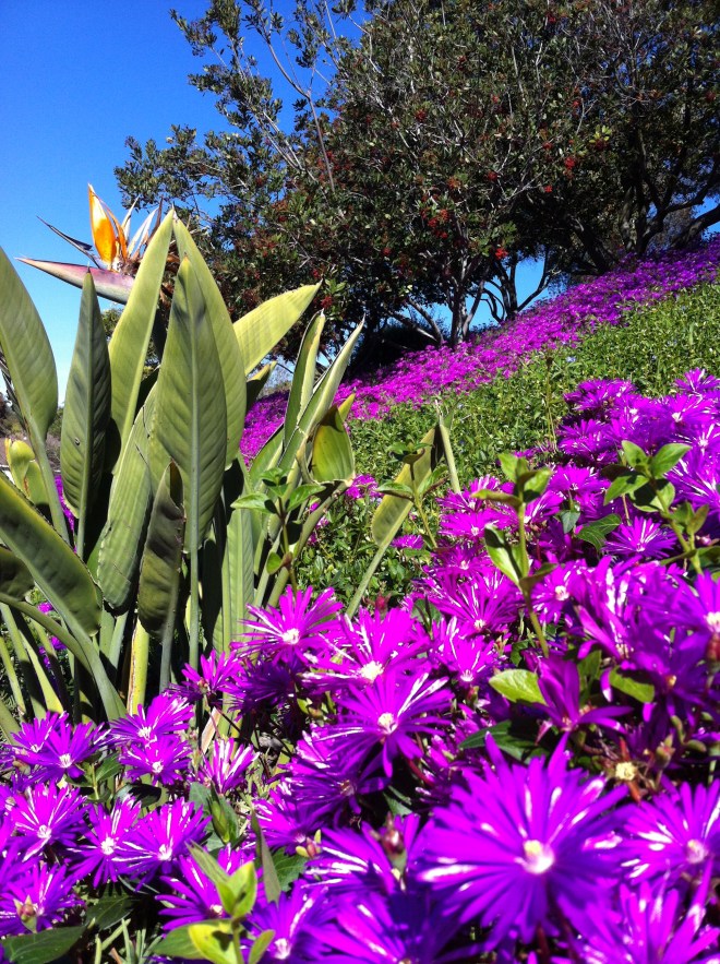 Sunset (minus the sun) – Actual Unretouched Photo